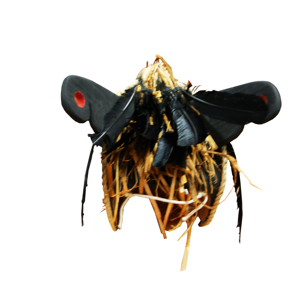 Thunderbird - Canadian Indigenous Art Inc.